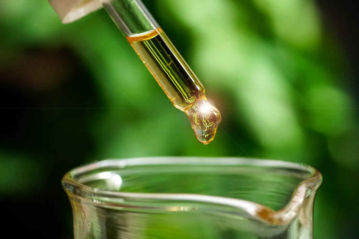 Is CBD Natural or Synthetic? What To Know – Muscle MX
